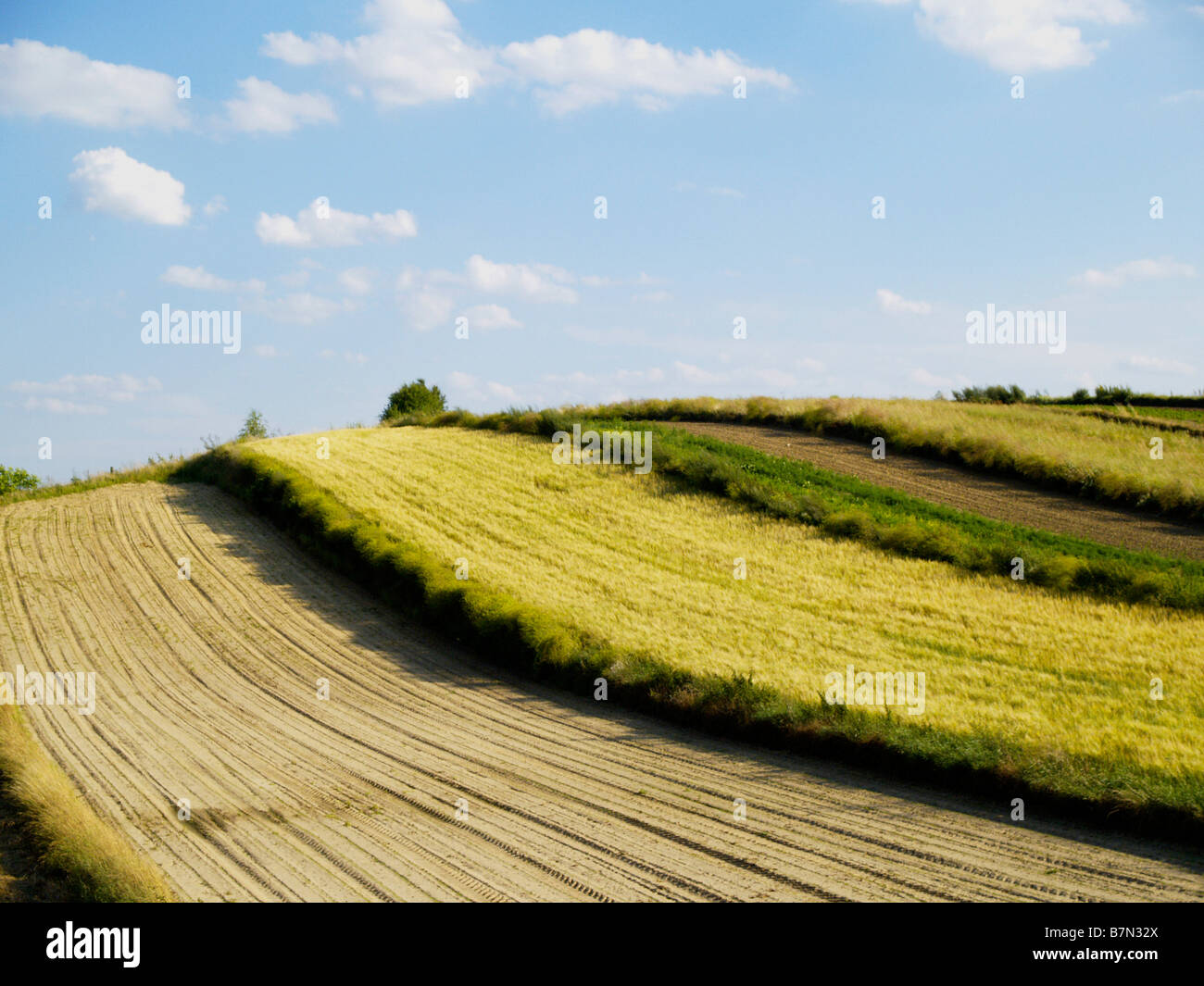 The rolling countryside in eastern Poland Stock Photo - Alamy