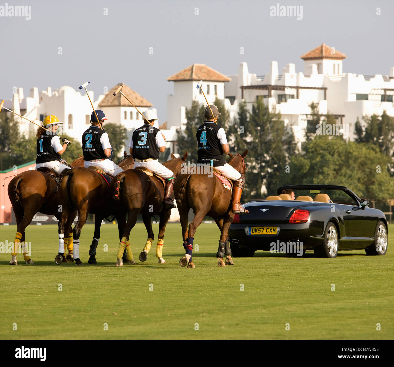 Polo pony ponies hi-res stock photography and images - Alamy