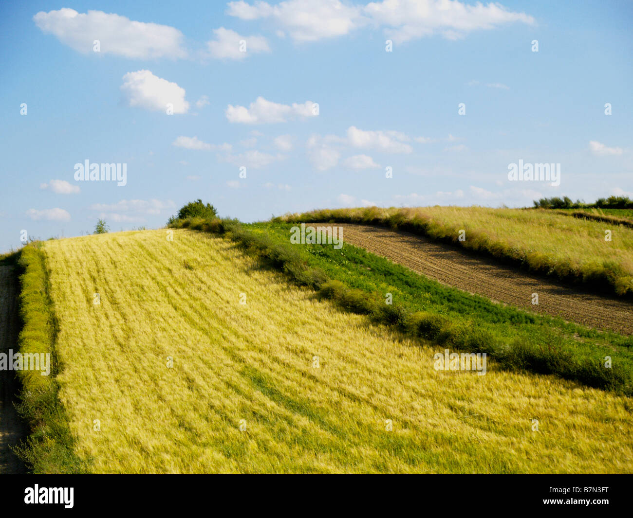 The rolling countryside in eastern Poland Stock Photo - Alamy