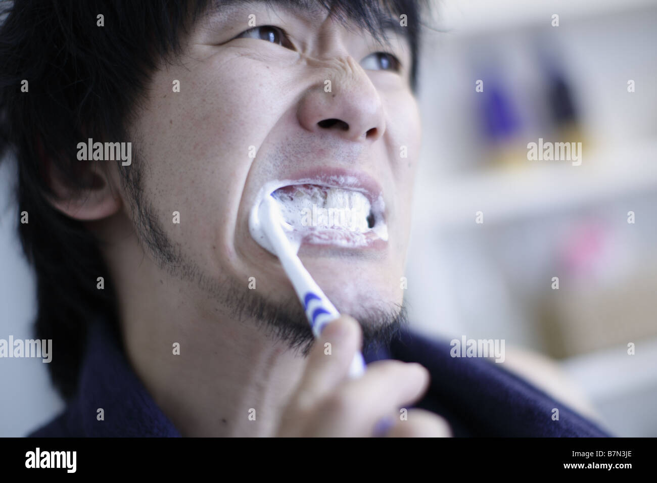 Man Brushing Teeth Stock Photo - Alamy