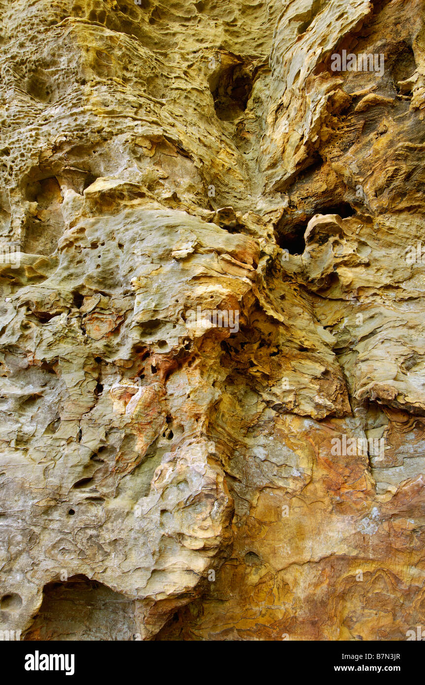 Detail of Sandstone Cliff beside Natural Bridge Arch in Natural Bridge ...