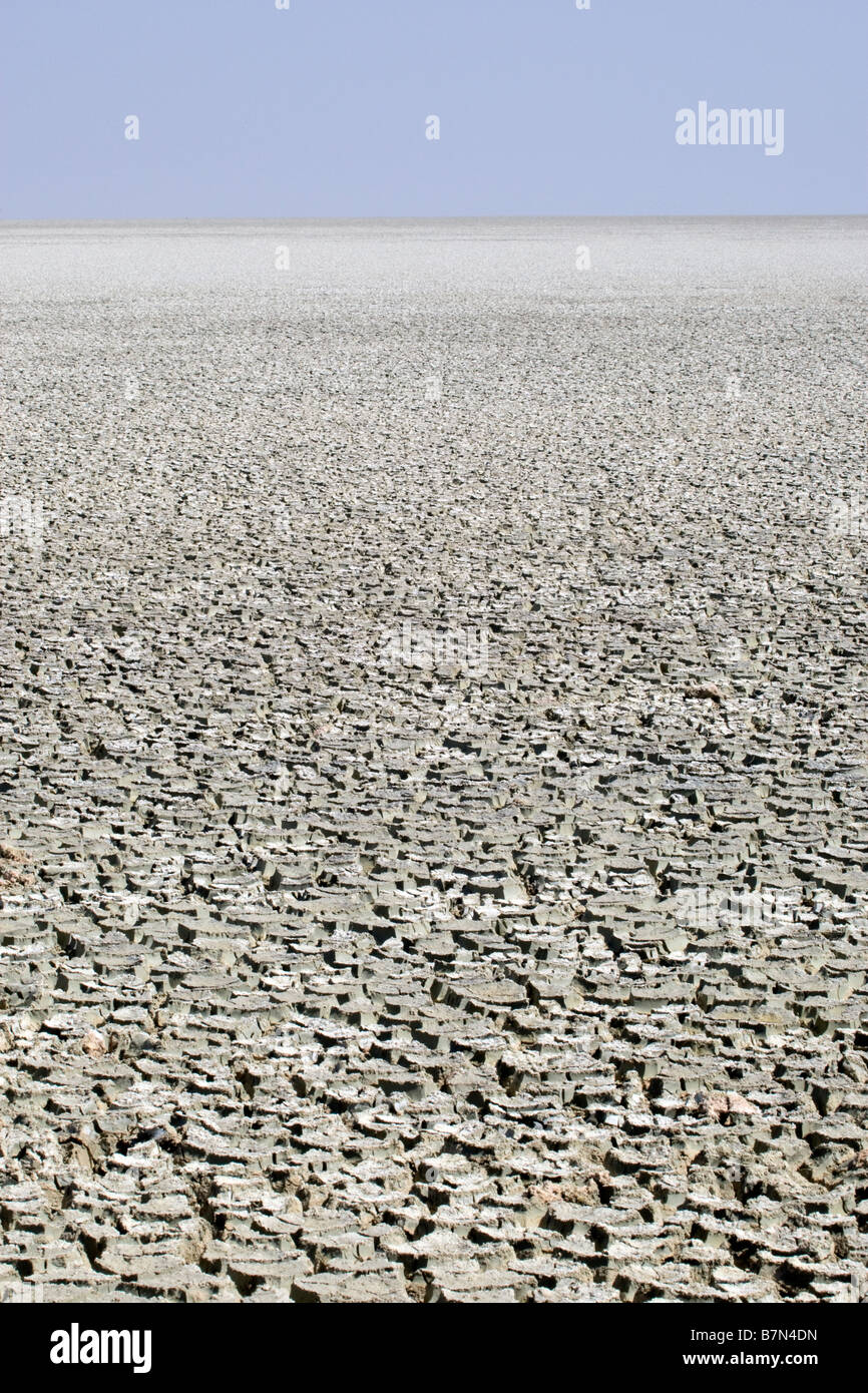 Salt pan etosha hi-res stock photography and images - Alamy