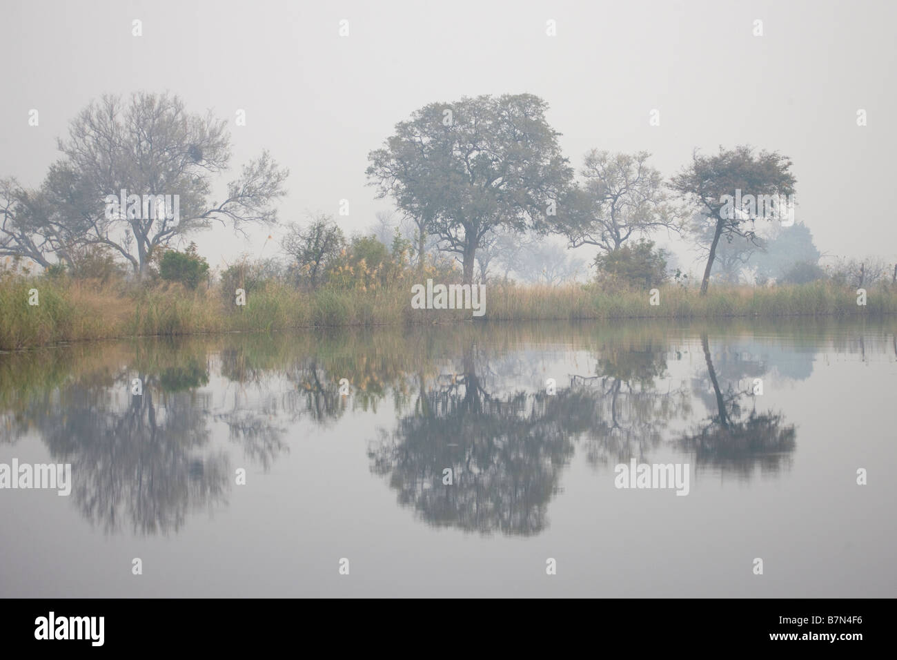 Swamp in namibia hi-res stock photography and images - Alamy