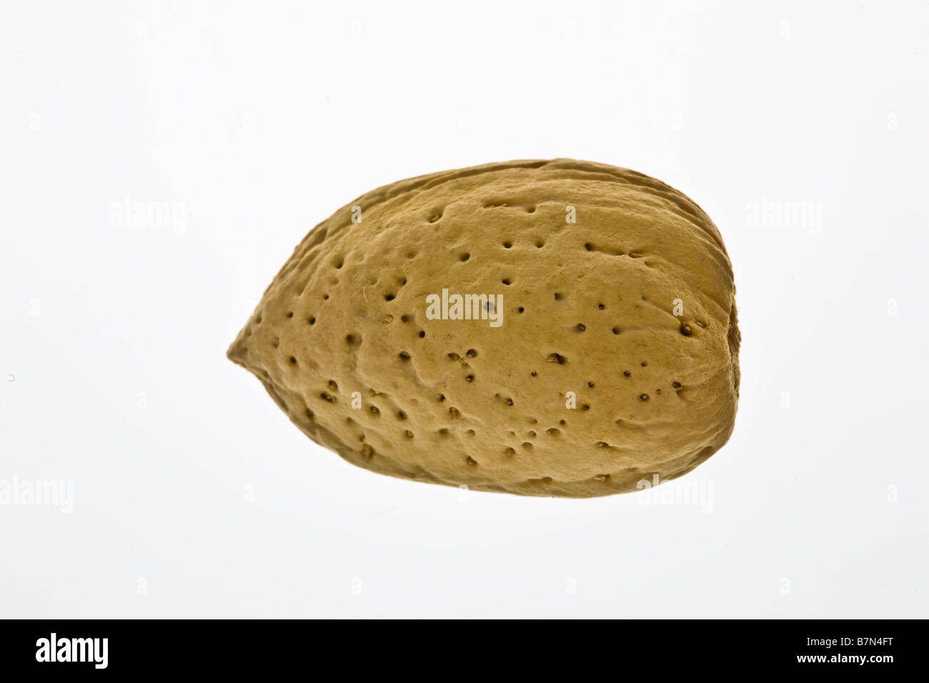 Almond Cut Out Stock Images & Pictures - Alamy