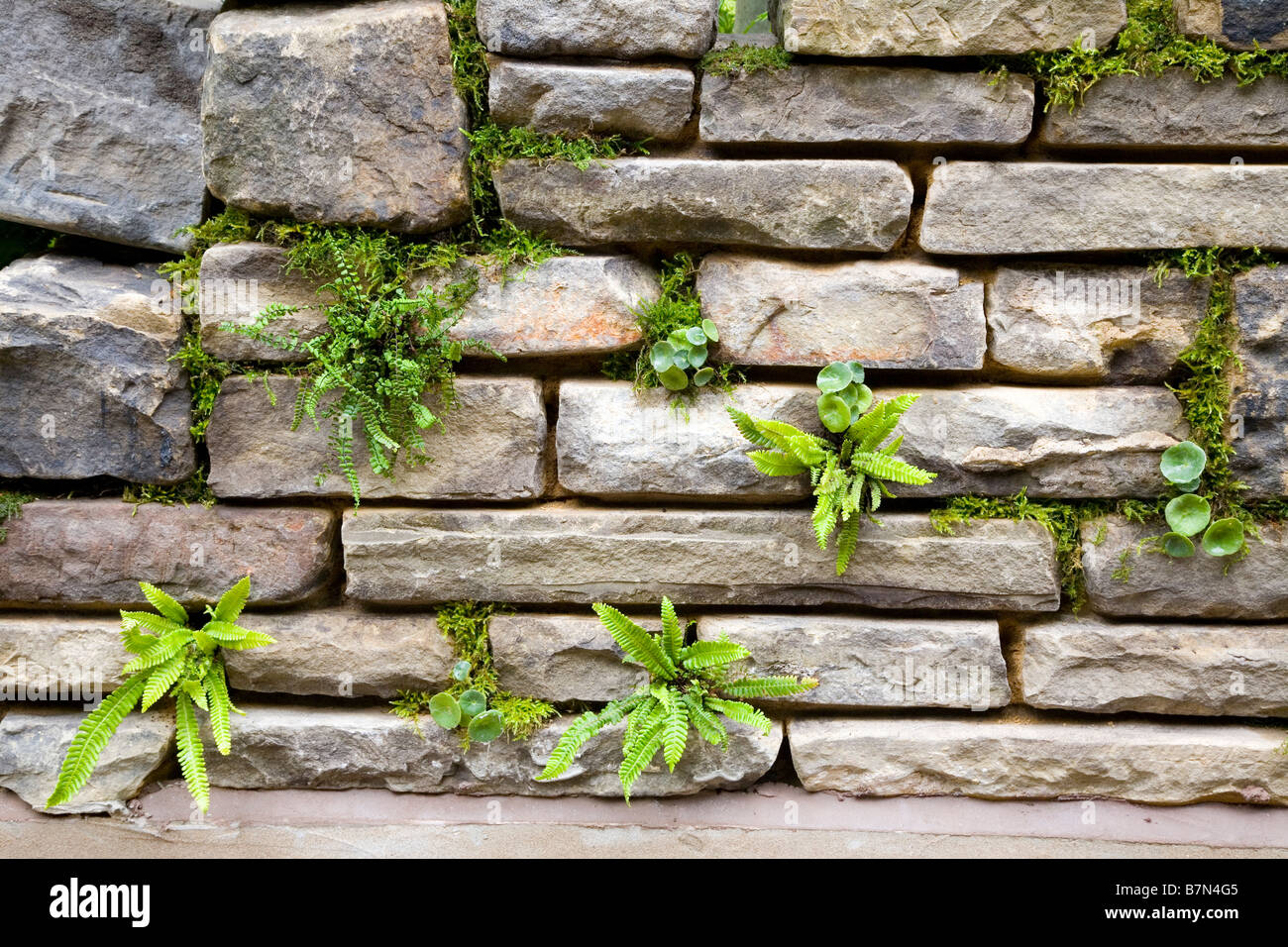 Dry stone wall Stock Photo - Alamy