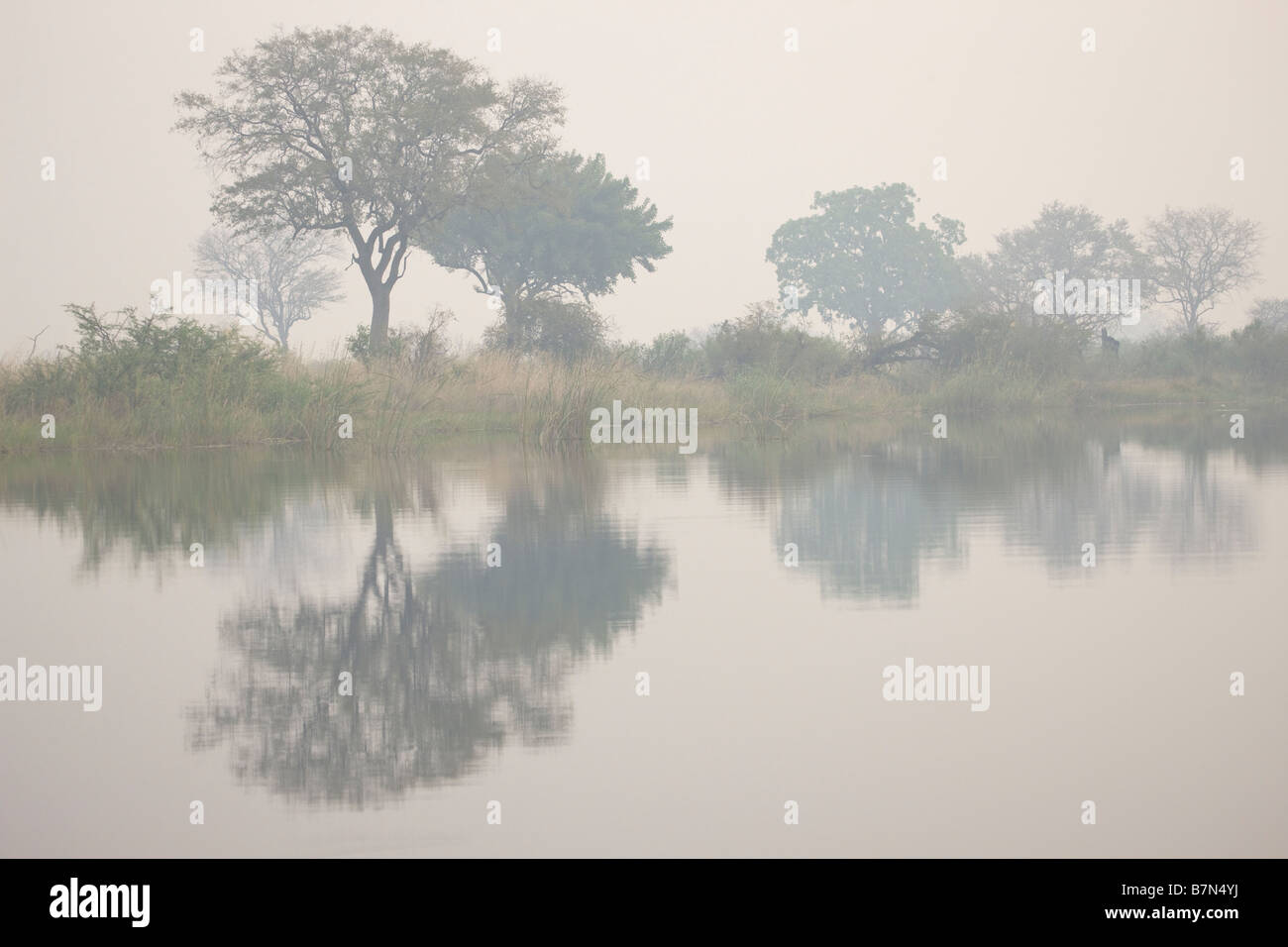 Swamp in namibia hi-res stock photography and images - Alamy