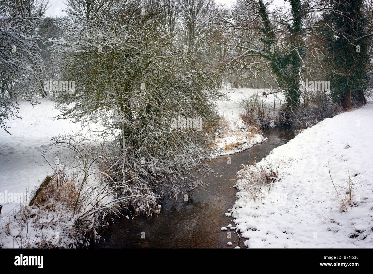 River pant essex hi-res stock photography and images - Alamy