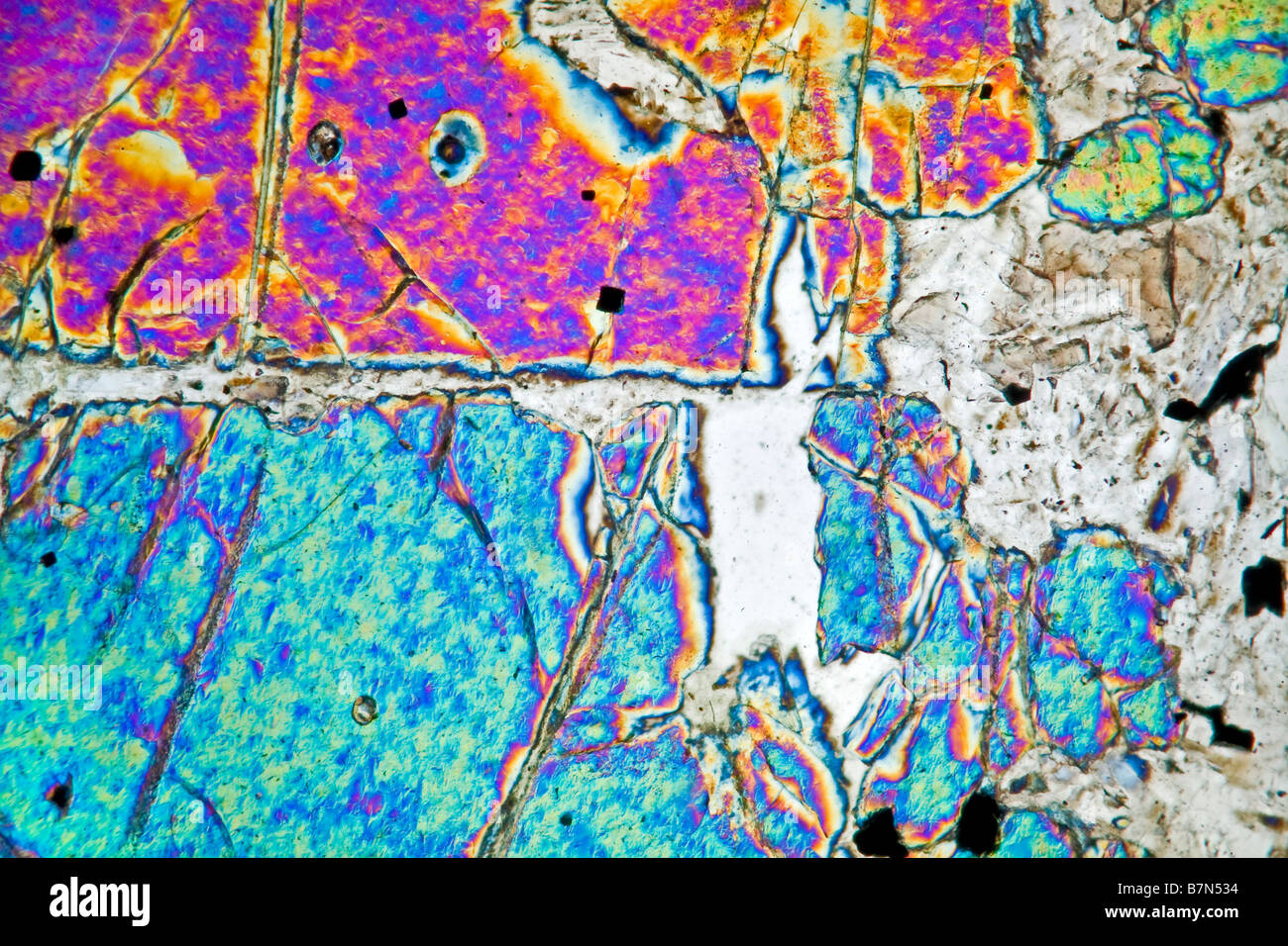 Picrite photomicrograph slide section viewed by cross polarized ...