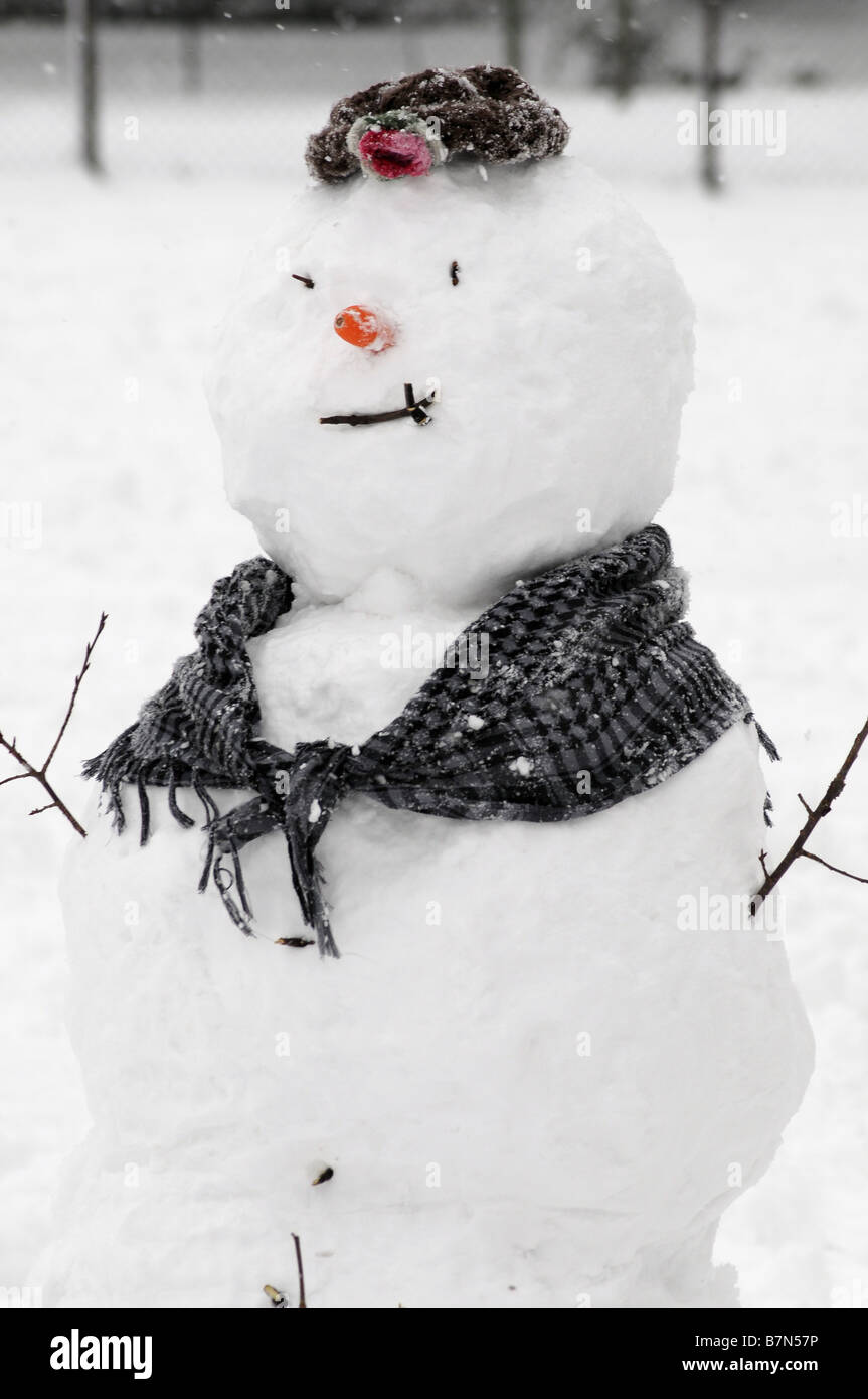 Snowman by Tony Rusecki Stock Photo - Alamy