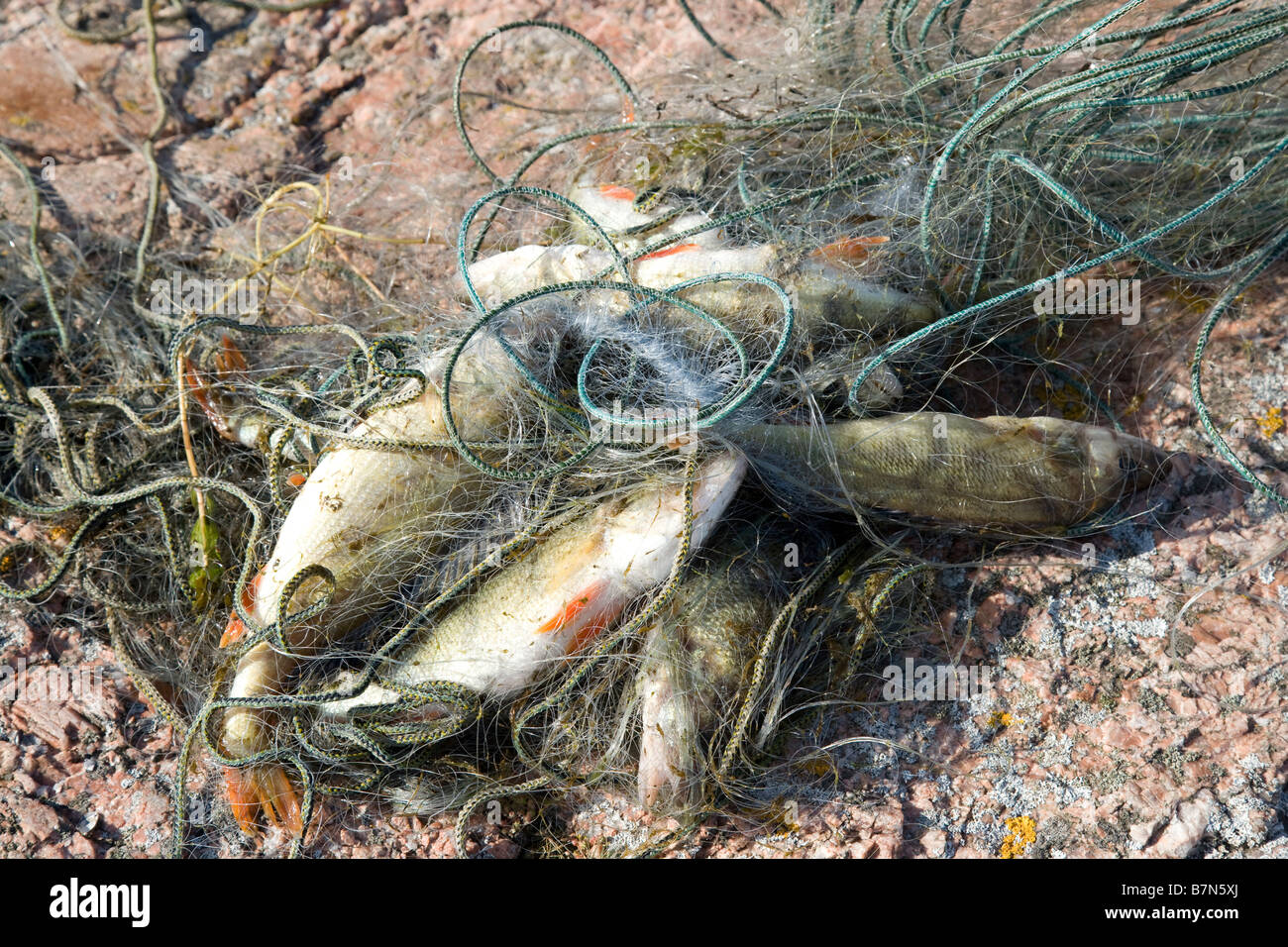 Freshwater resources hi-res stock photography and images - Alamy