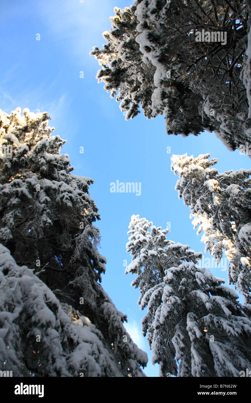 Haanja hi-res stock photography and images - Alamy