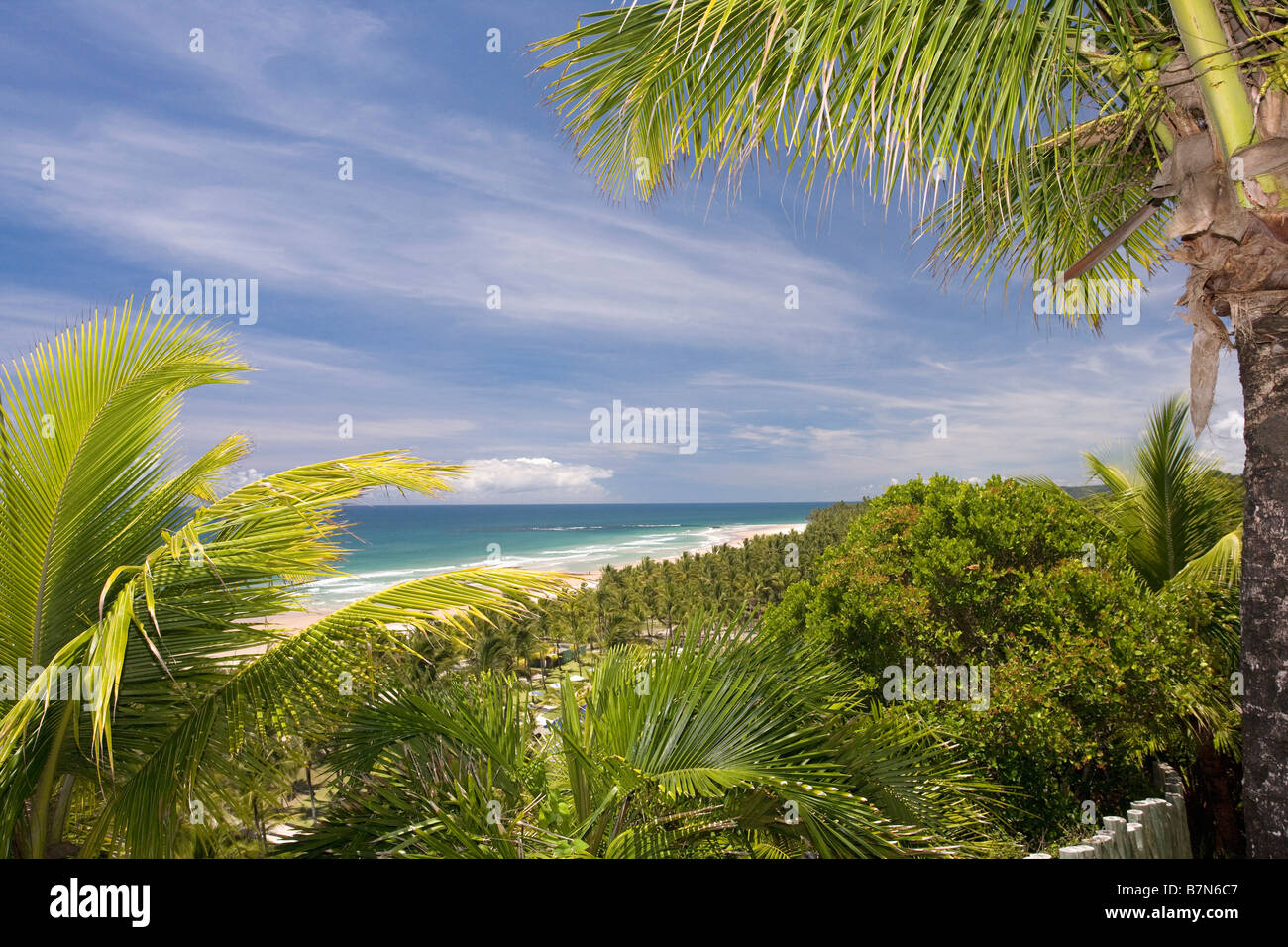 Palm trees framing view of the ocean in Brazil Stock Photo - Alamy