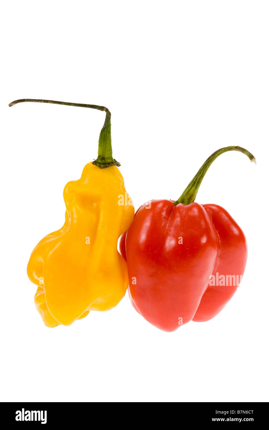 Suriname cuisine Cut Out Stock Images & Pictures - Alamy