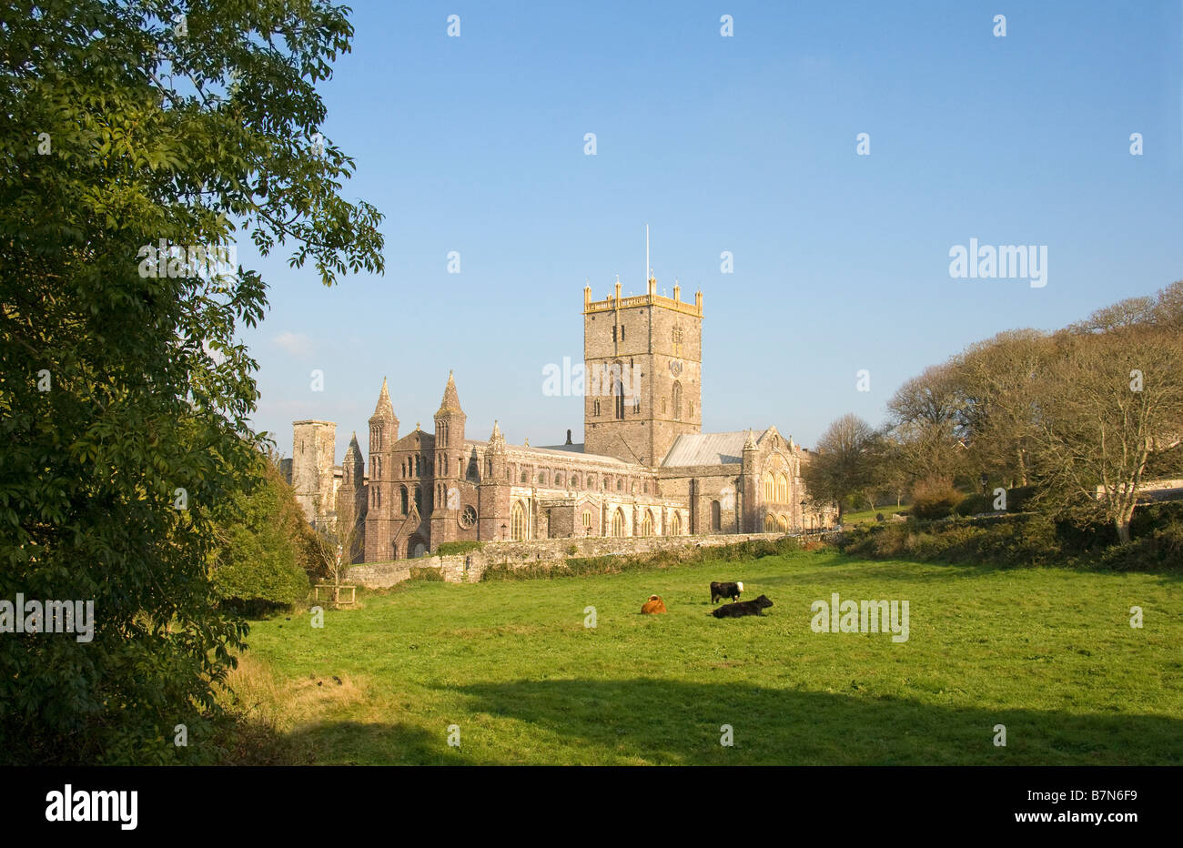 St davids diocese hi-res stock photography and images - Alamy