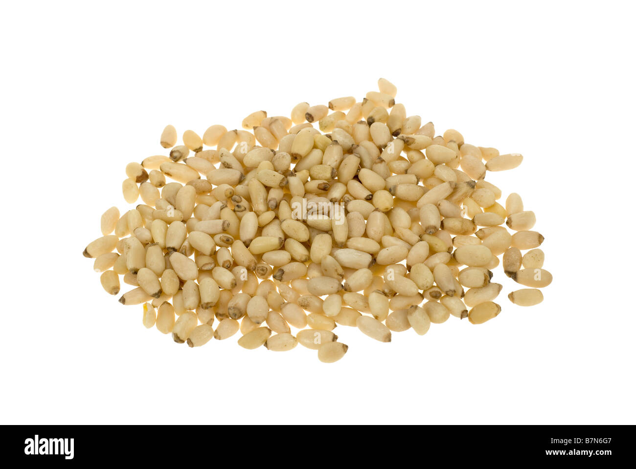fresh pine nuts isolated on a white background Stock Photo - Alamy