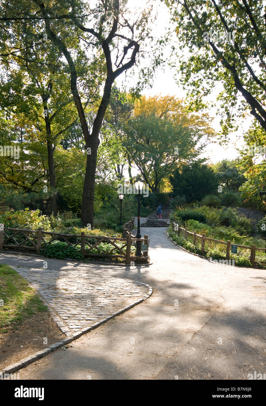 Sunlit pathways in Shakespeare garden, Central Park, New York, USA. Nov ...
