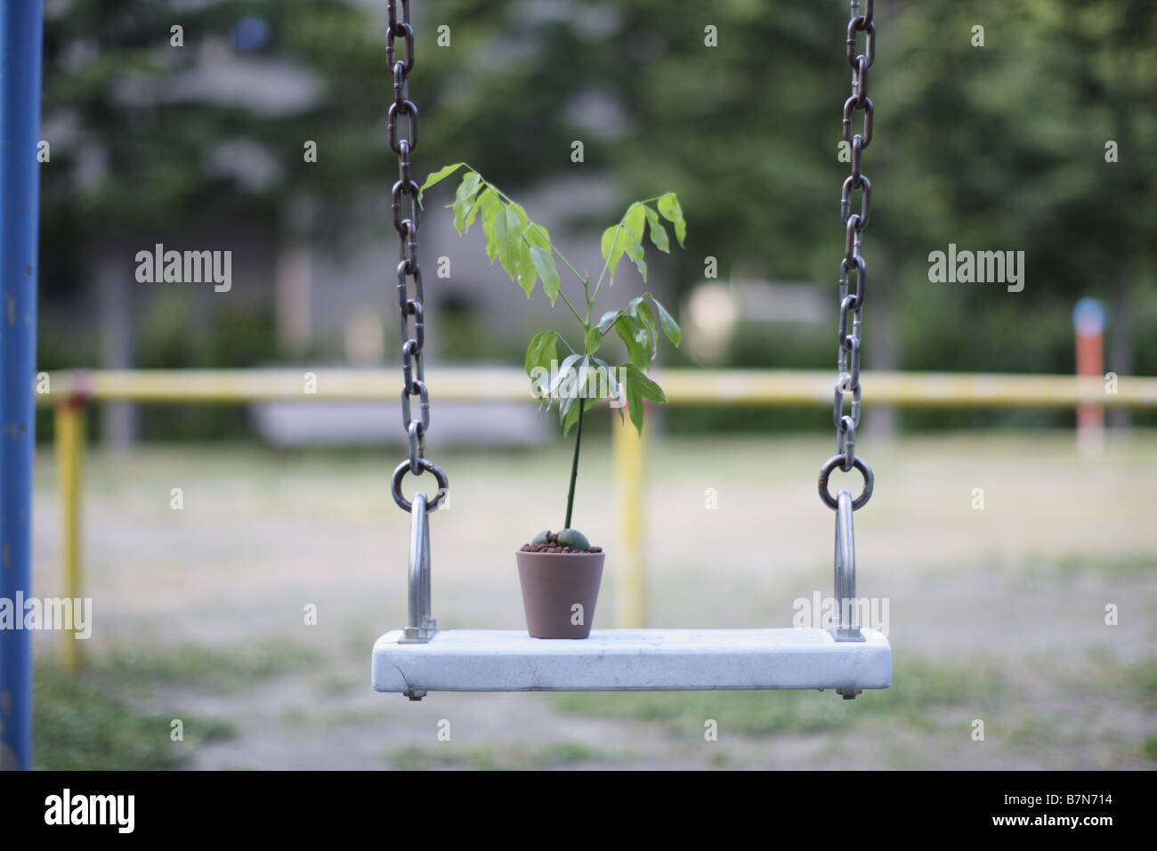 Potted Plant on Swing Stock Photo - Alamy