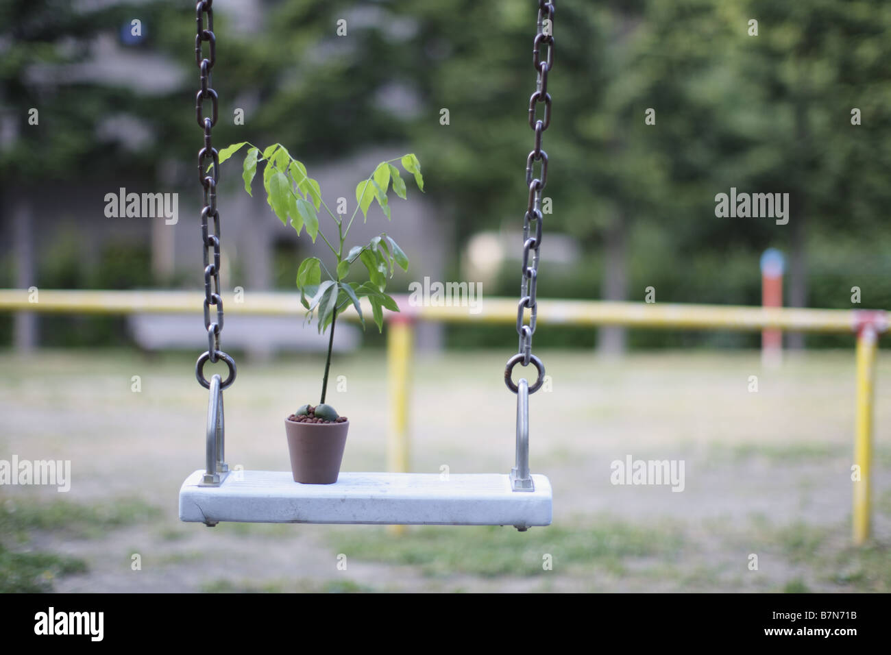 Put plant hi-res stock photography and images - Alamy