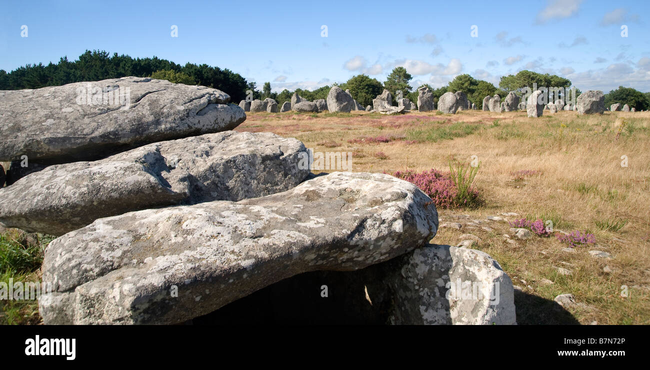 Megalitic alignements of standing stones of Kermario Carnac Stock Photo ...