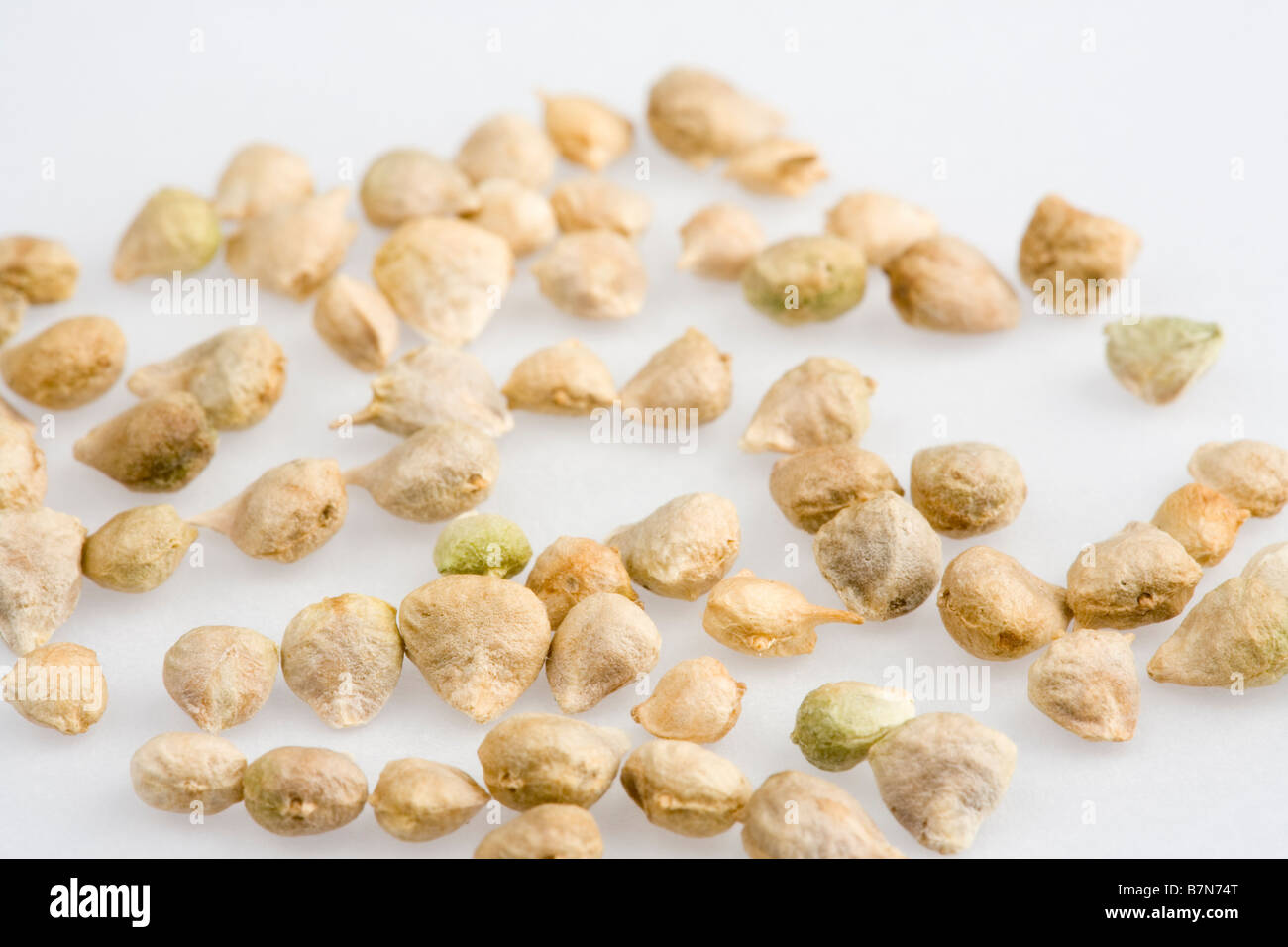Spinach seeds hi-res stock photography and images - Alamy