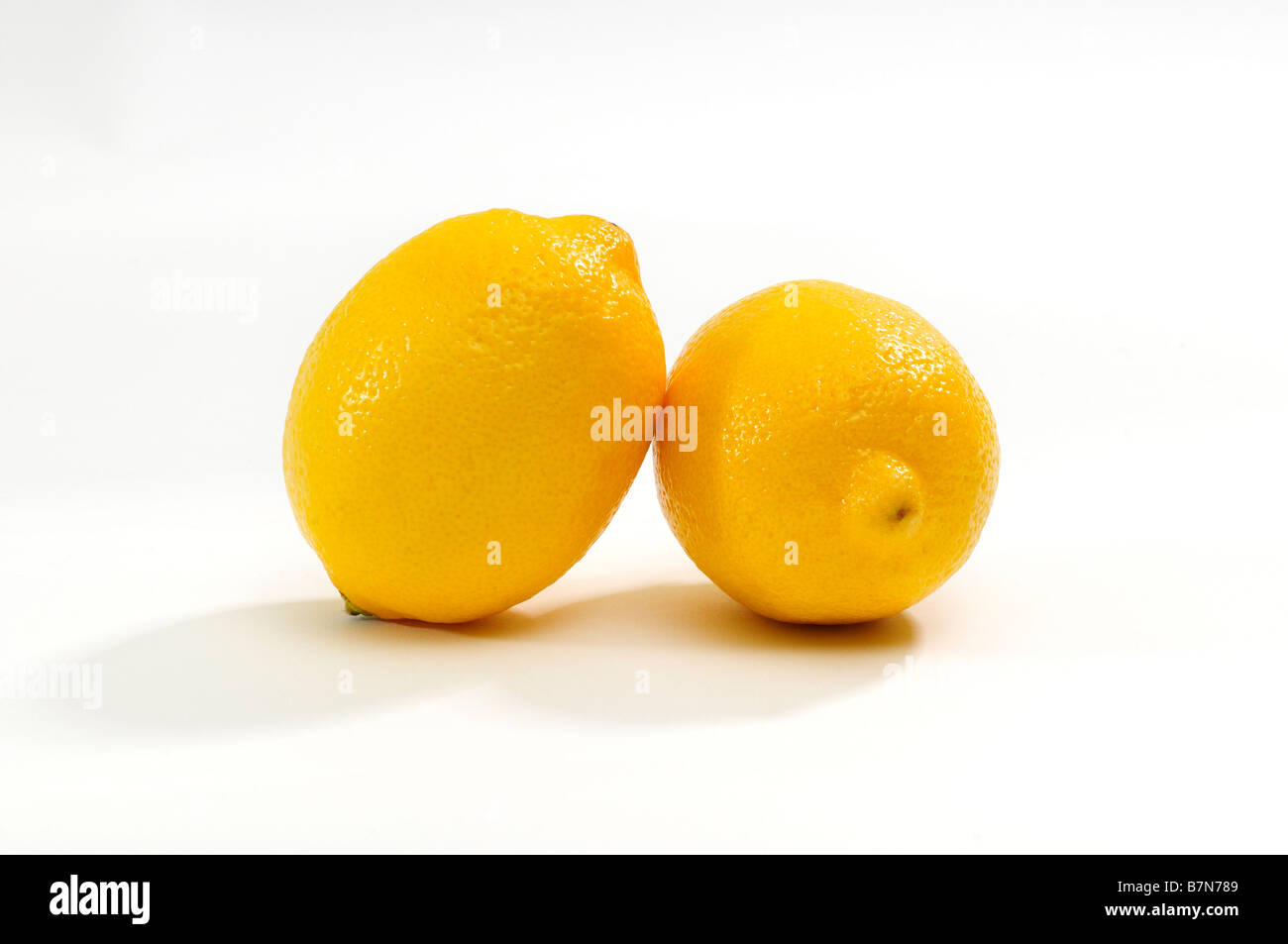 A closeup of two lemons on a white background Stock Photo - Alamy