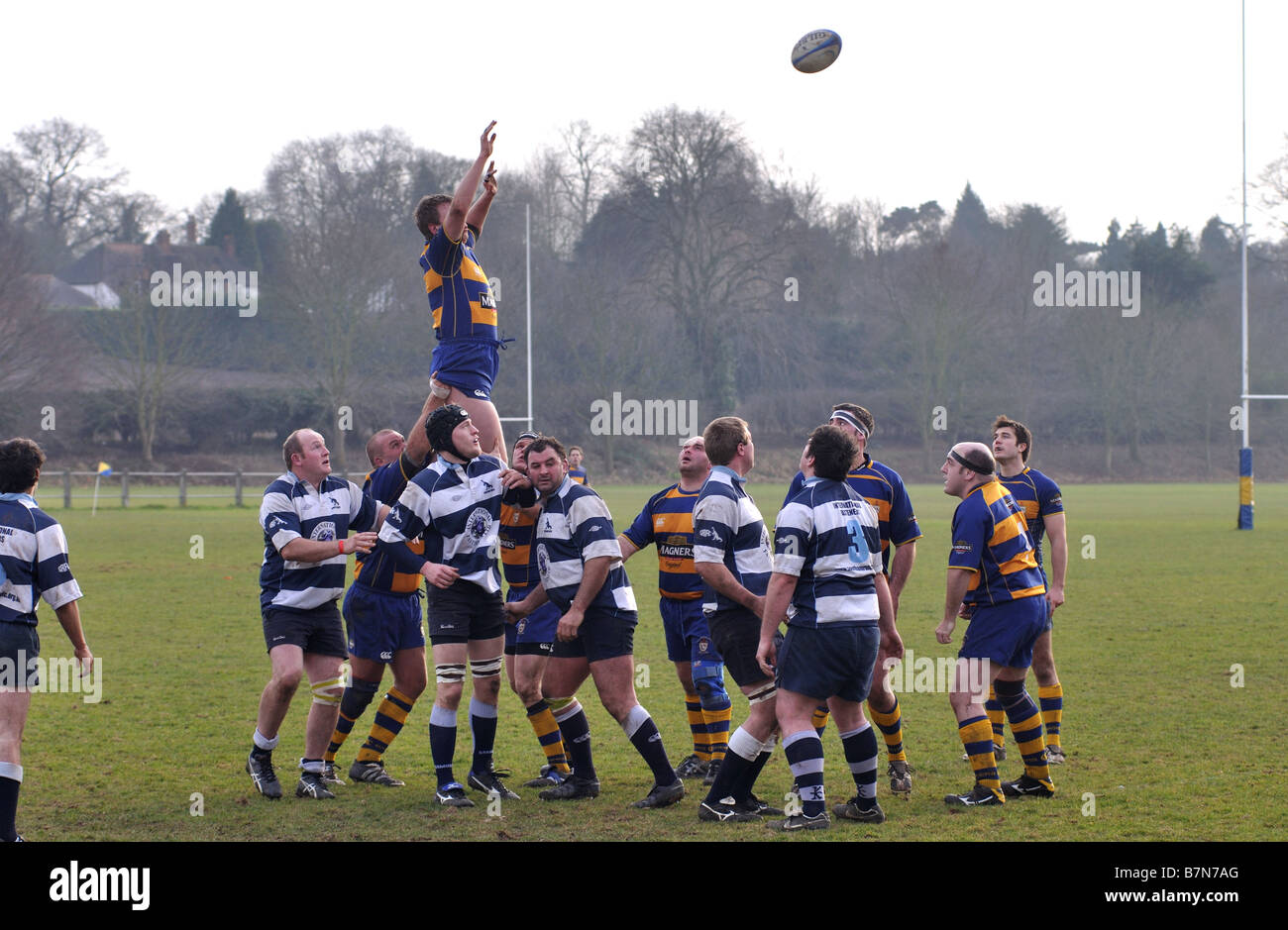 Rugby lineout rugby hi-res stock photography and images - Alamy