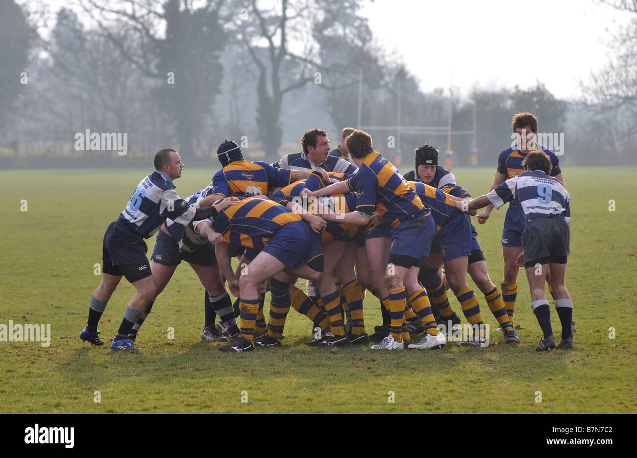 Rugby union action scrum hi-res stock photography and images - Alamy