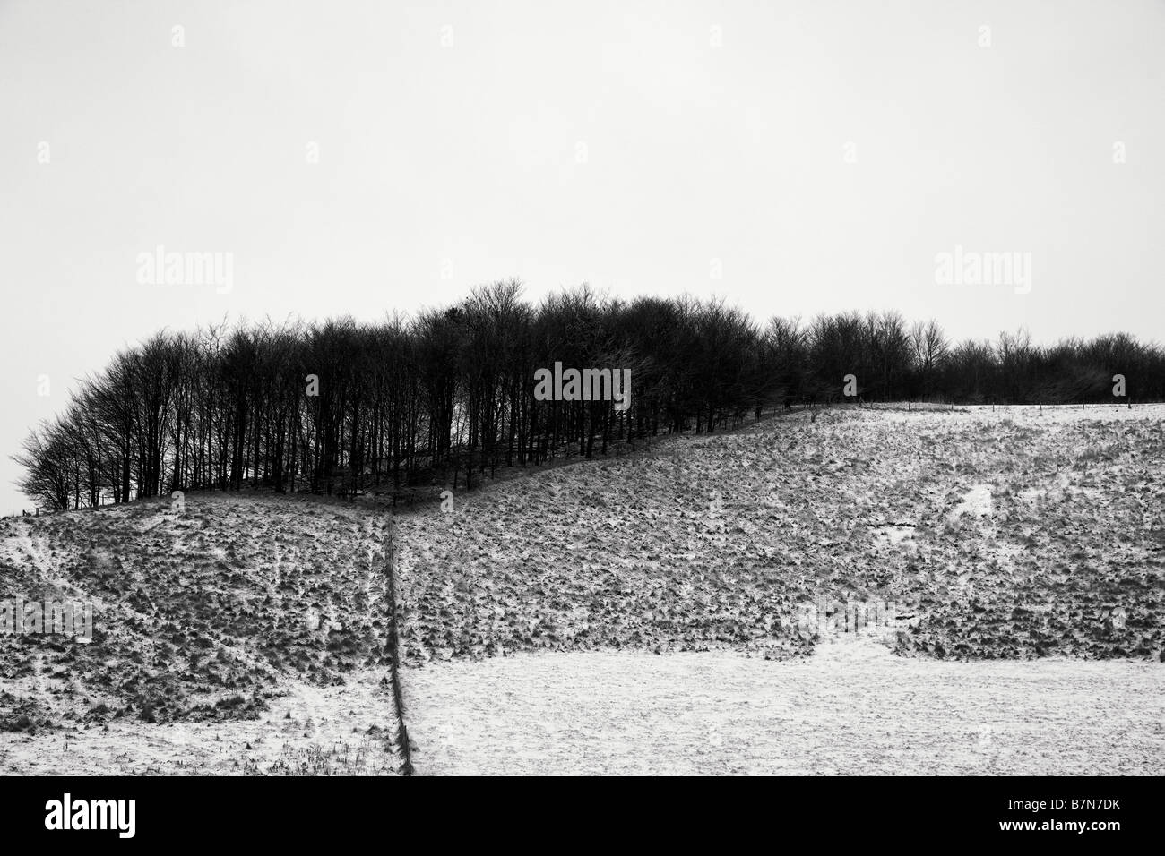 Snowline hi-res stock photography and images - Alamy