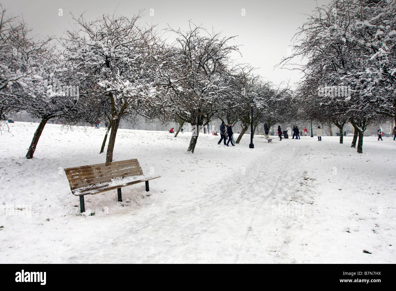 Primrose hill london bench hi-res stock photography and images - Alamy