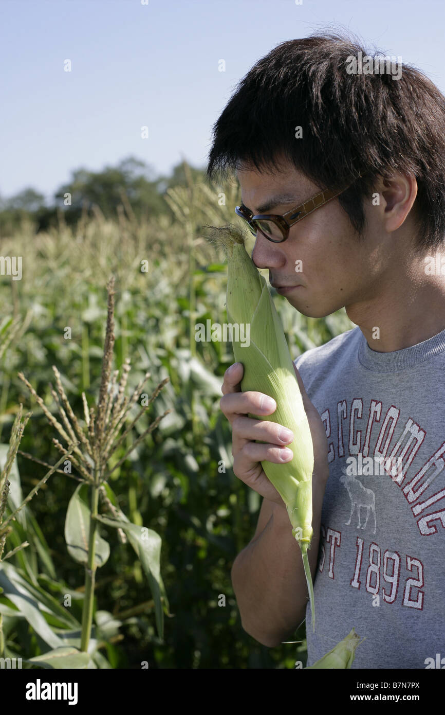 Two men harvest corn hi-res stock photography and images - Alamy