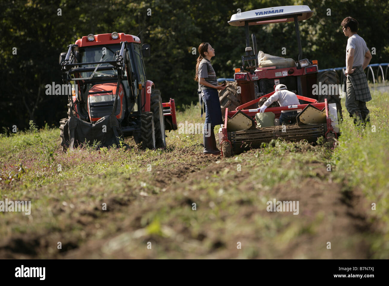 Children work farm work hi-res stock photography and images - Alamy