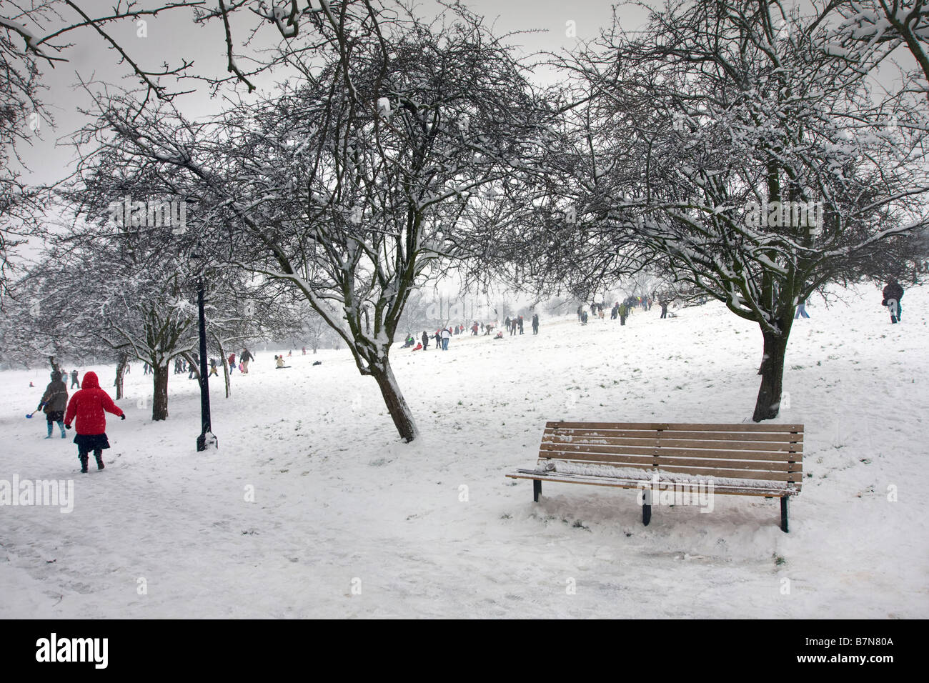 Primrose hill london bench hi-res stock photography and images - Alamy