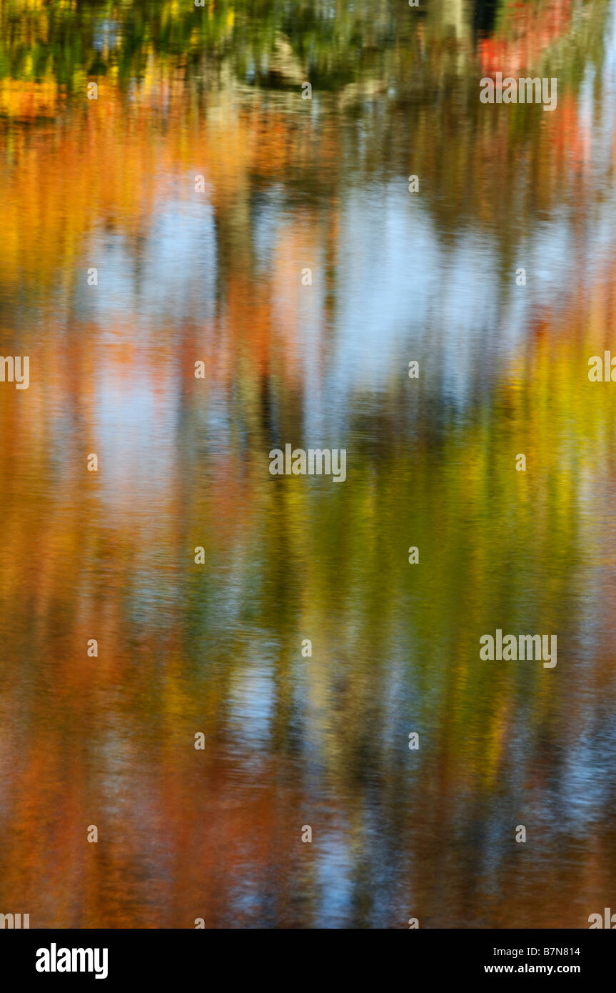 Abstract of Autumn Reflections in Cleveland Cliffs Basin in Hiawatha ...