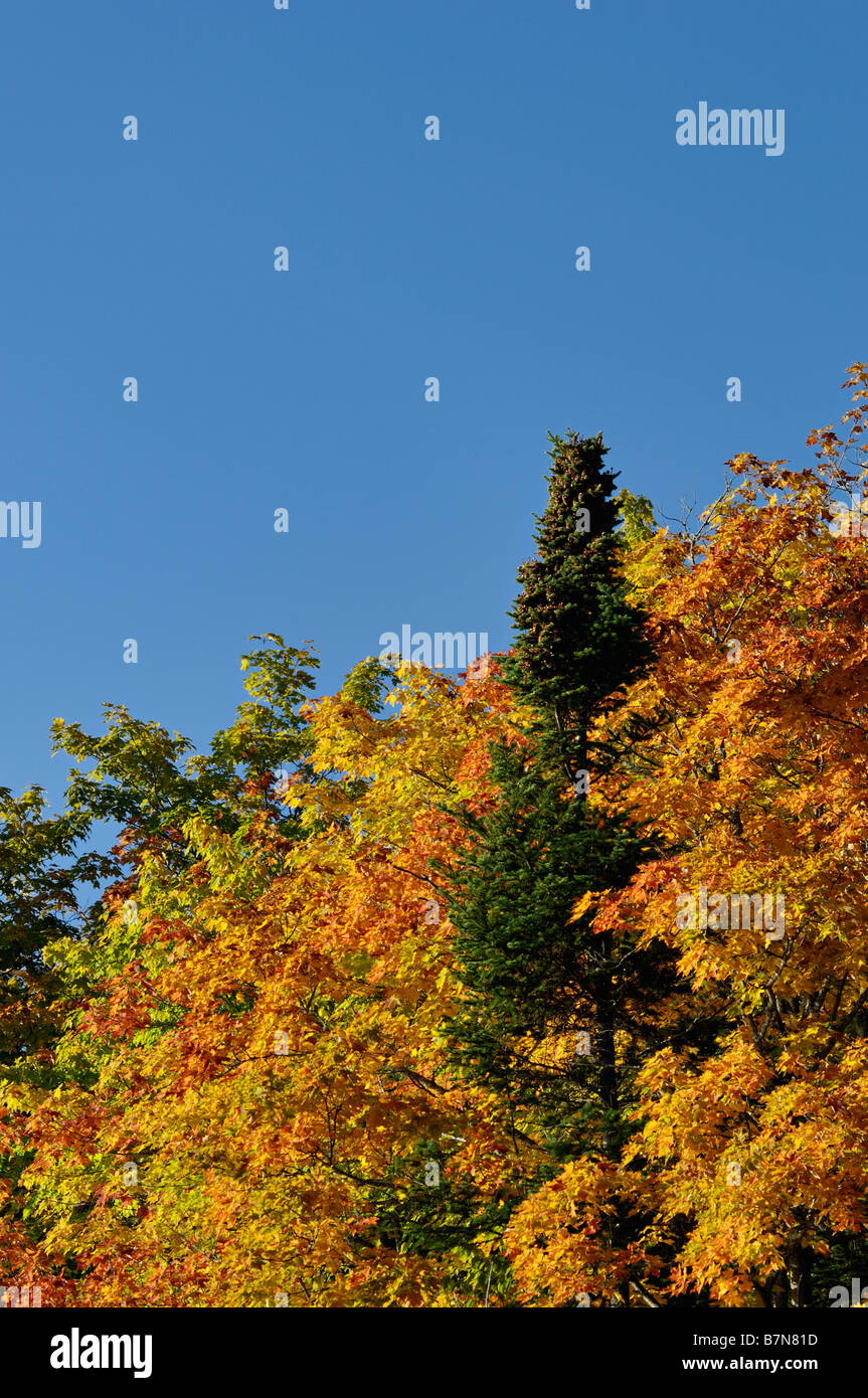 Cleveland cliffs hi-res stock photography and images - Alamy