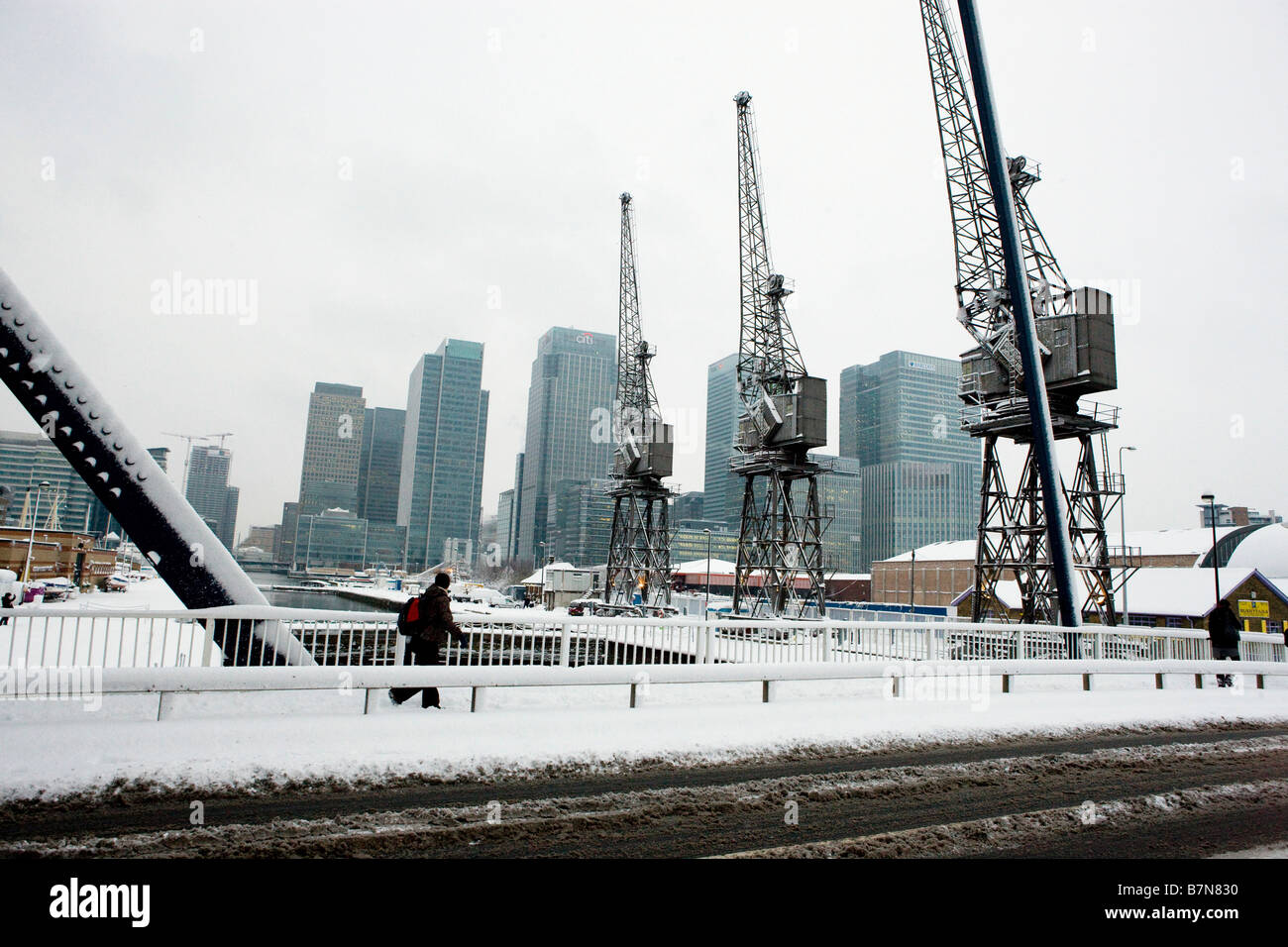 Crane in snow hi-res stock photography and images - Alamy