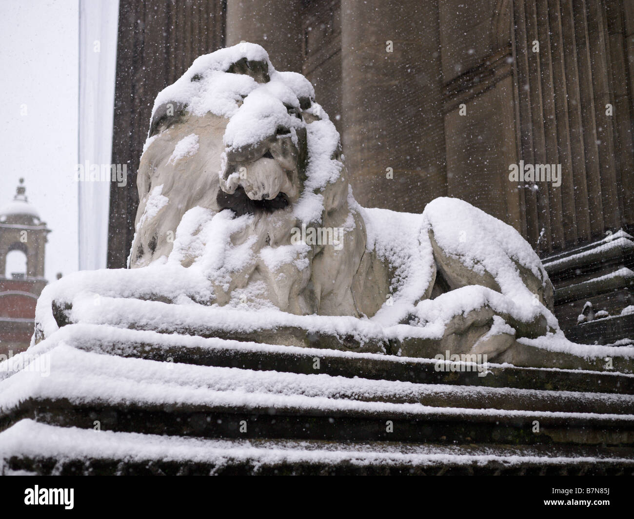 Snow covered Lion statue, Leeds Town Hall Stock Photo - Alamy