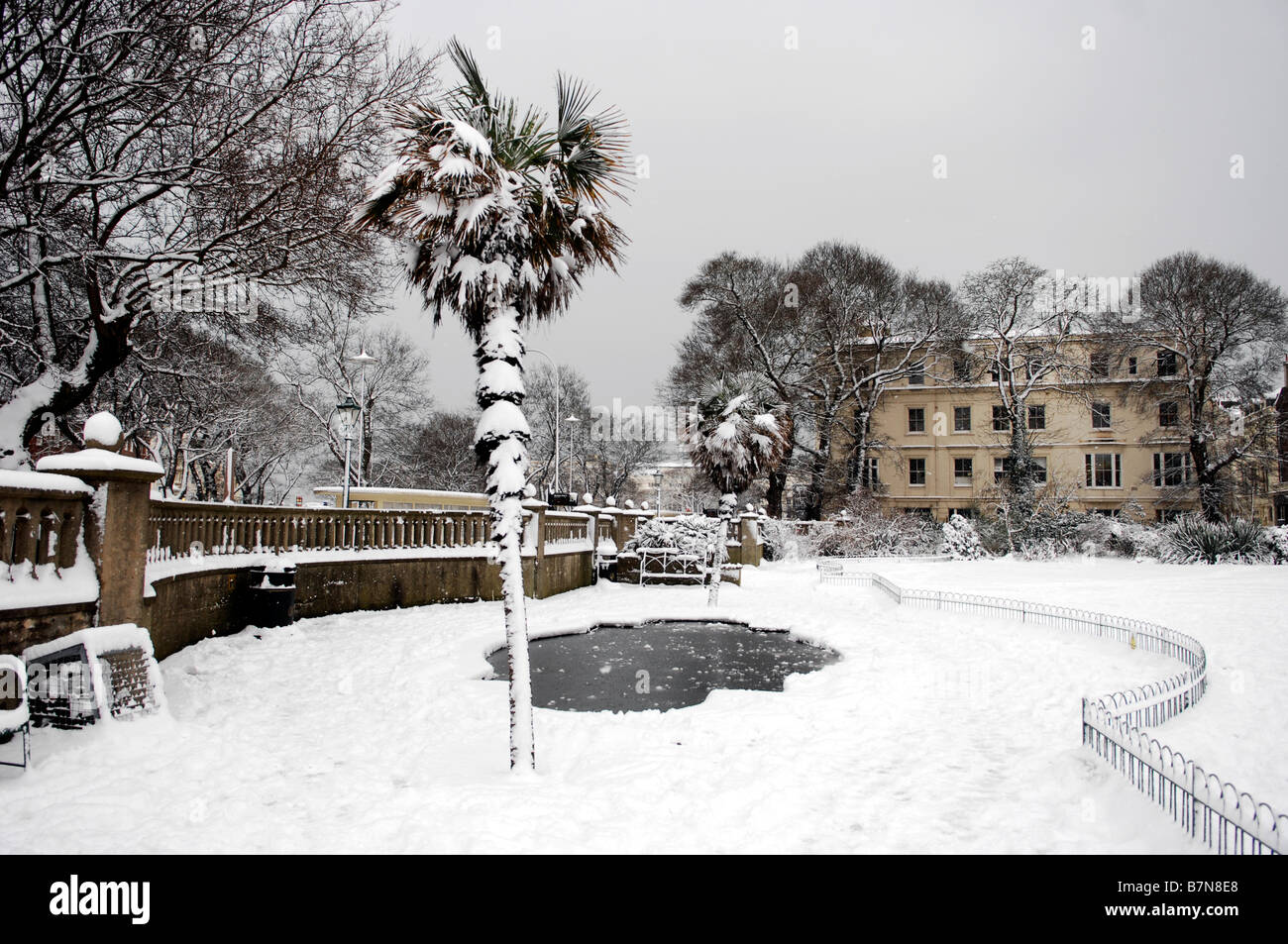 A palm tree by The Royal Pavilion Brighton covered in snow February ...