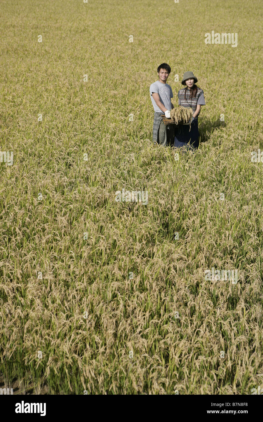 Couple in a rice field hi-res stock photography and images - Alamy