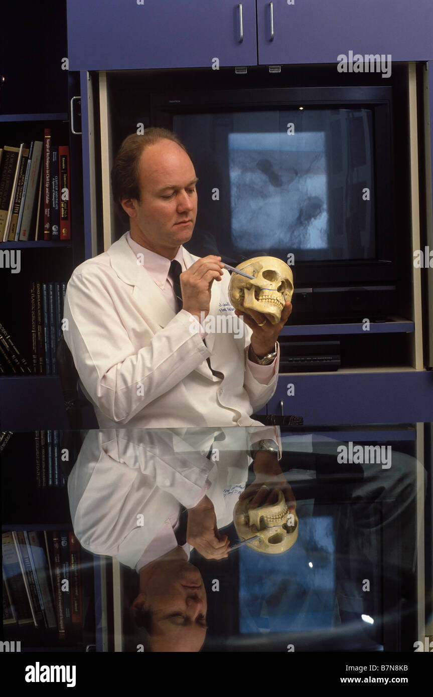 Doctor at reflective conference table observing skull Stock Photo - Alamy