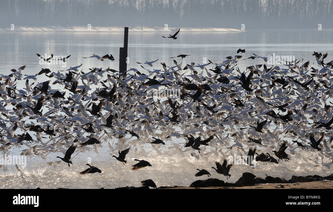 Taking off activity photos hi-res stock photography and images - Alamy