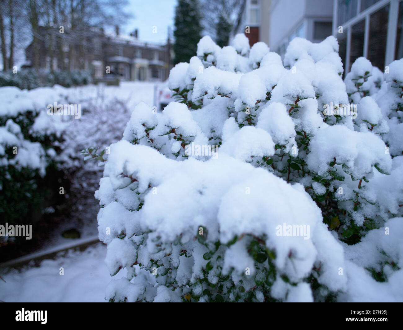Snowing winter snowy weather heavy hi-res stock photography and images ...