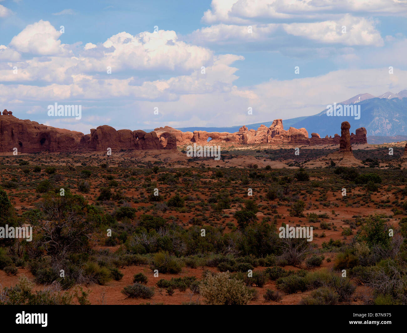 Archies High Resolution Stock Photography and Images - Alamy