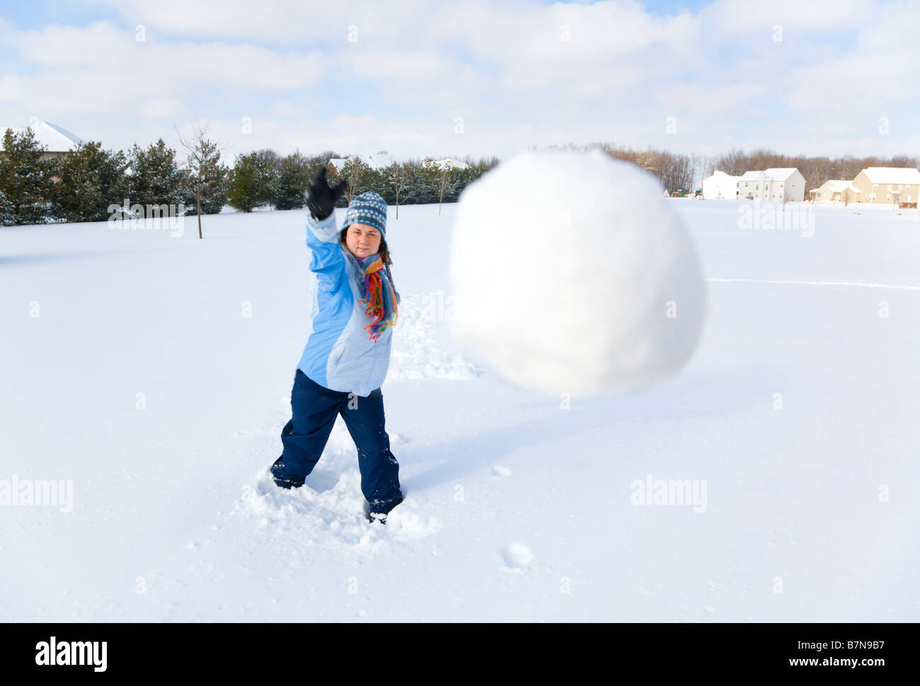 Snowball hi-res stock photography and images - Alamy