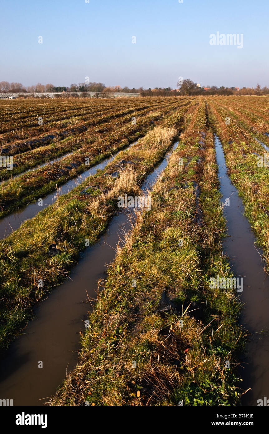 Waterlogged furrows in a field Stock Photo - Alamy