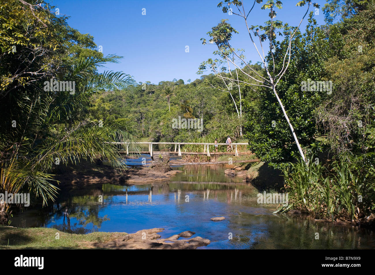 Wooden footbridge over river in woodland in Brazil Stock Photo - Alamy