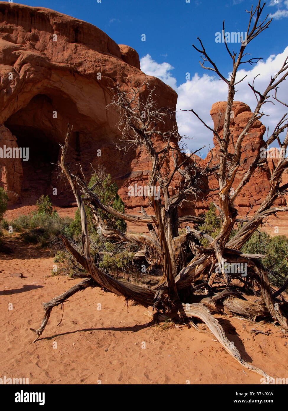 Moab city park hi-res stock photography and images - Alamy