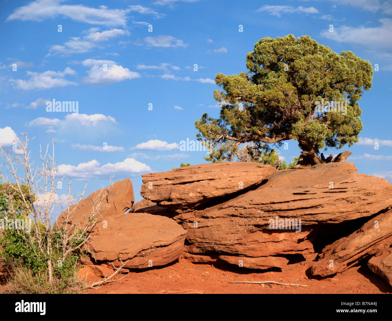 Grand canyon caves hi-res stock photography and images - Alamy