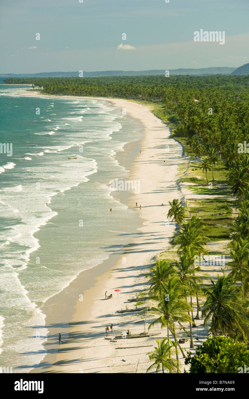 Waves on the sea on long sandy beach fringed with palm trees in Brazil ...