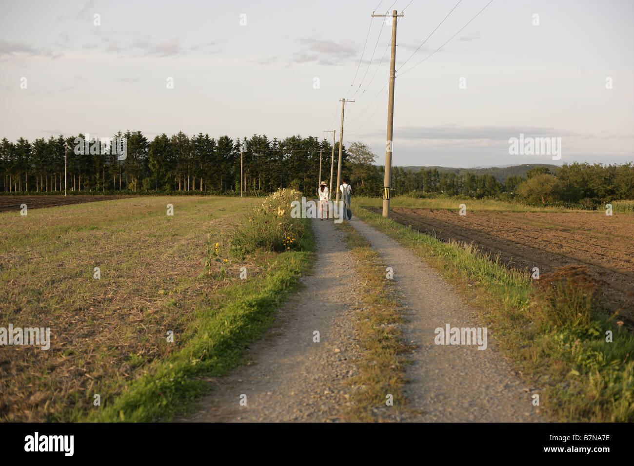 A couple walking along country road Stock Photo - Alamy
