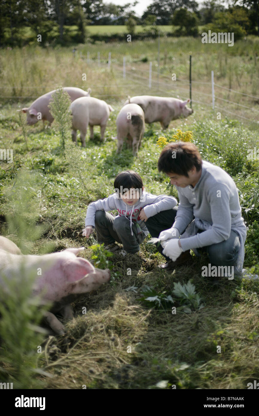 Family with pigs hi-res stock photography and images - Alamy